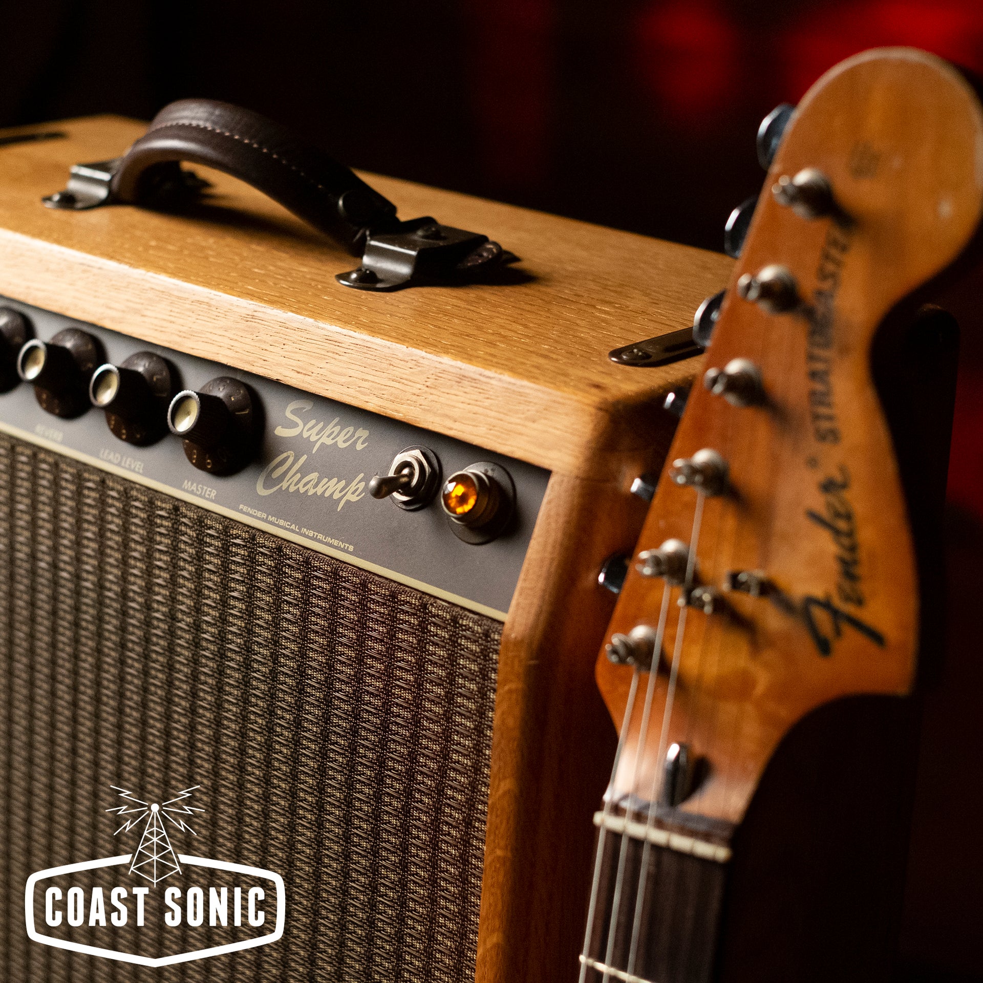 RARE 1984 Fender Super Champ Pro Paul Rivera Solid Oak Cabinet – Coast ...