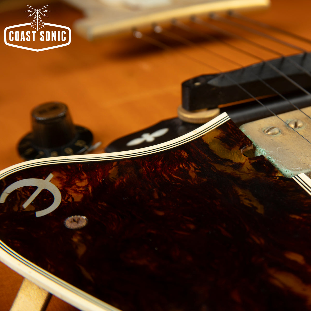 Vintage 1976 Epiphone Emperor Blue Label Made in Japan – Coast Sonic