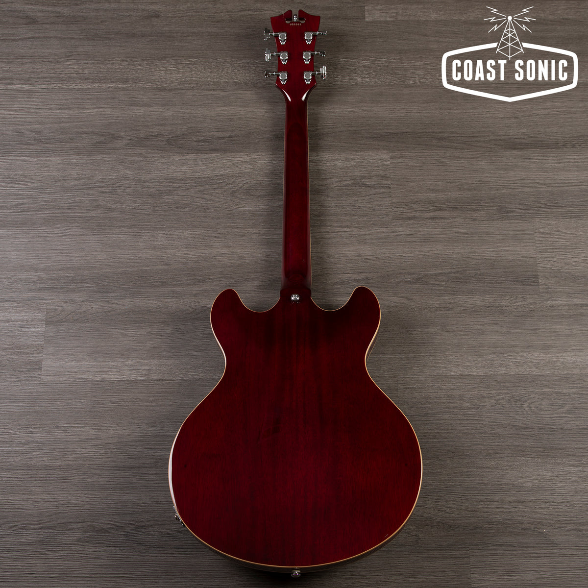 D'Angelico Premier DC with Upgrades – Coast Sonic