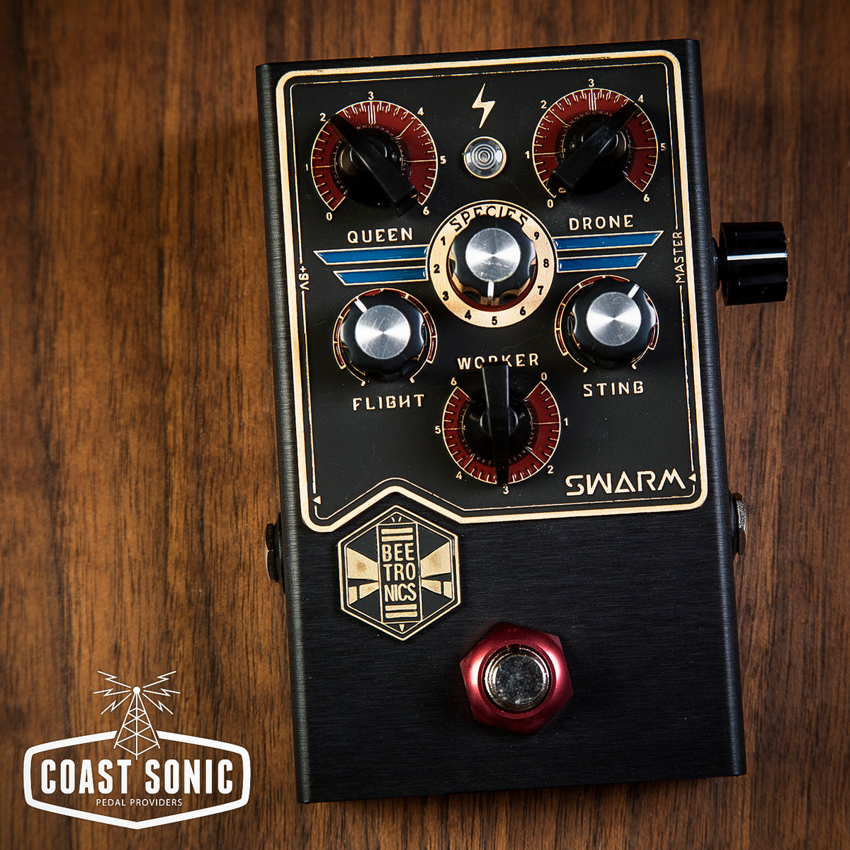 Beetronics Swarm Analog Fuzz Harmonizer – Coast Sonic