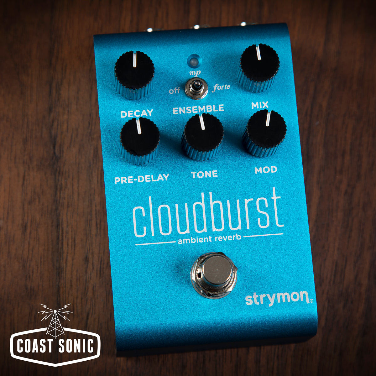 Strymon Cloudburst ambient reverb – Coast Sonic